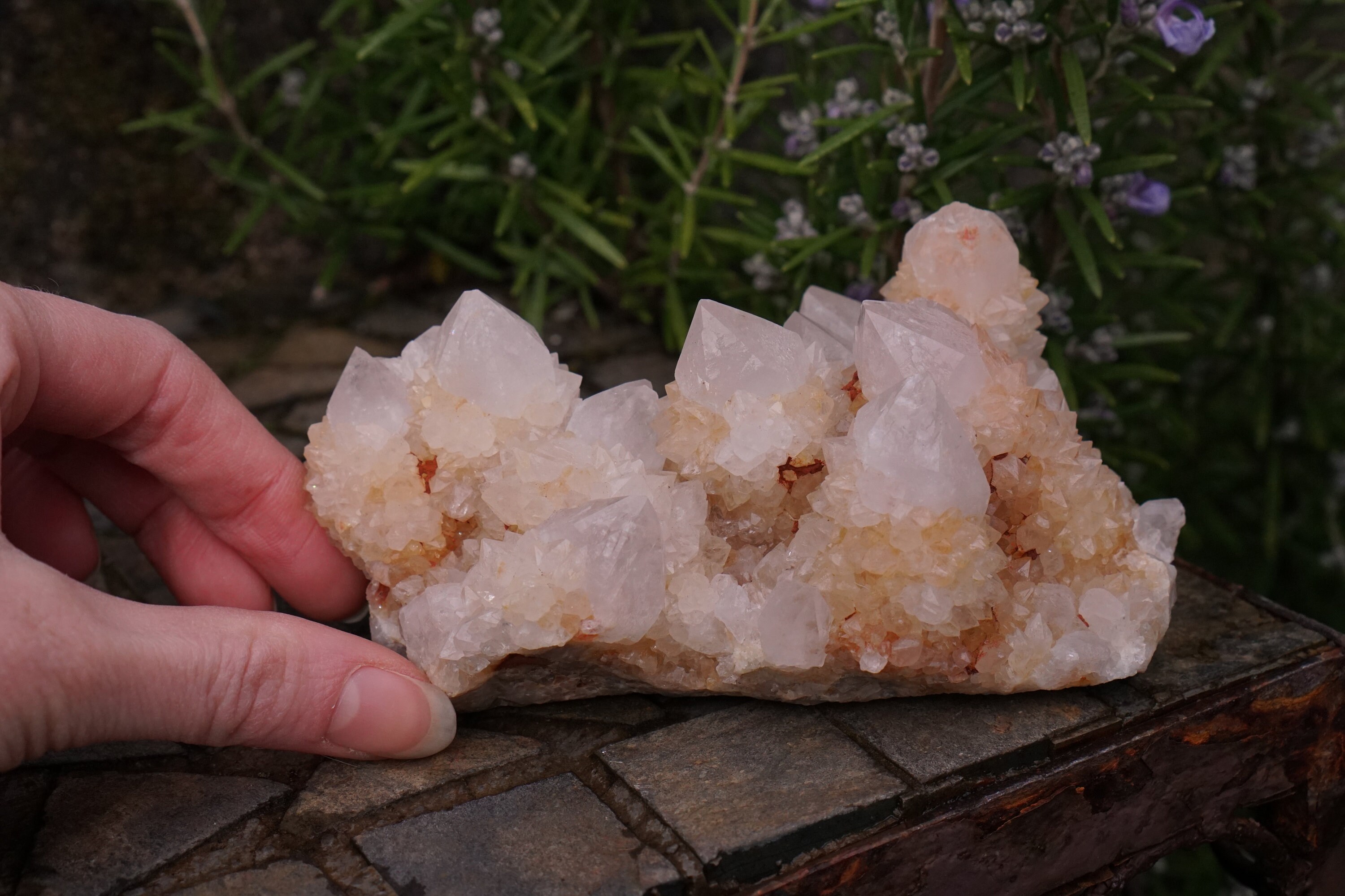 Spirit Quartz Cactus Quartz Crystal Cluster | Etsy