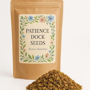 Patience Dock Seed | Rumex Patientia Premium Grade | Herbal - Etsy