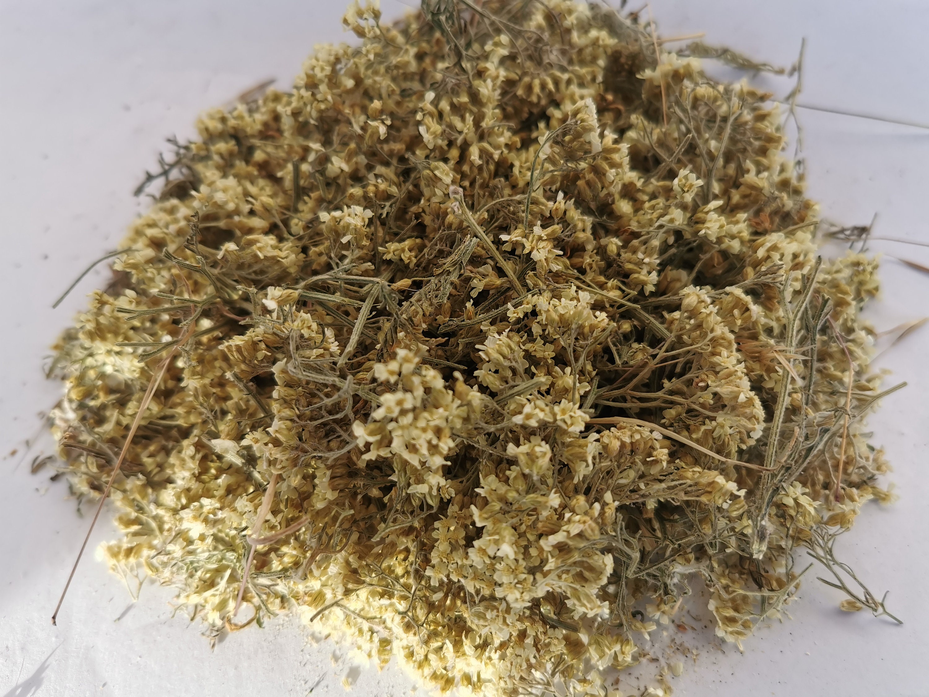 Dried Yarrow Flower Herb Tea Yarrow Organic and Natural | Etsy