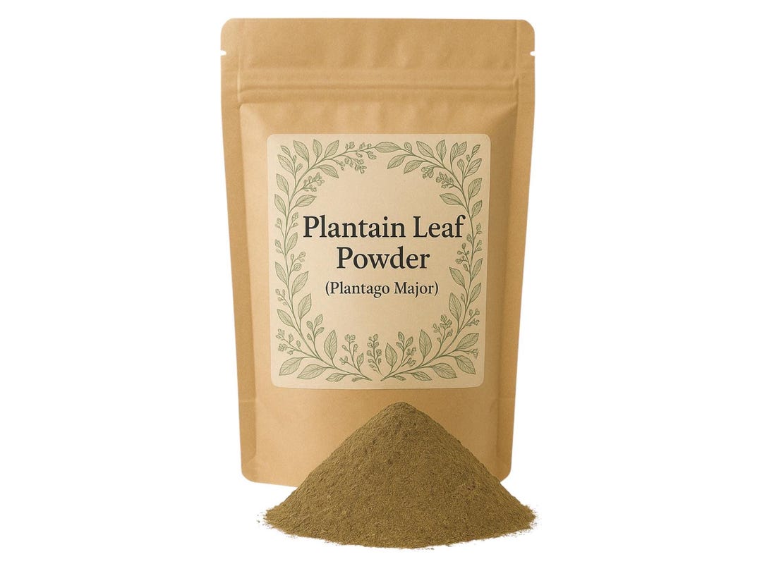 Plantain Leaf Powder | Premium Grade | Herbal - Etsy