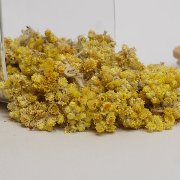 Everlasting Life - Etsy