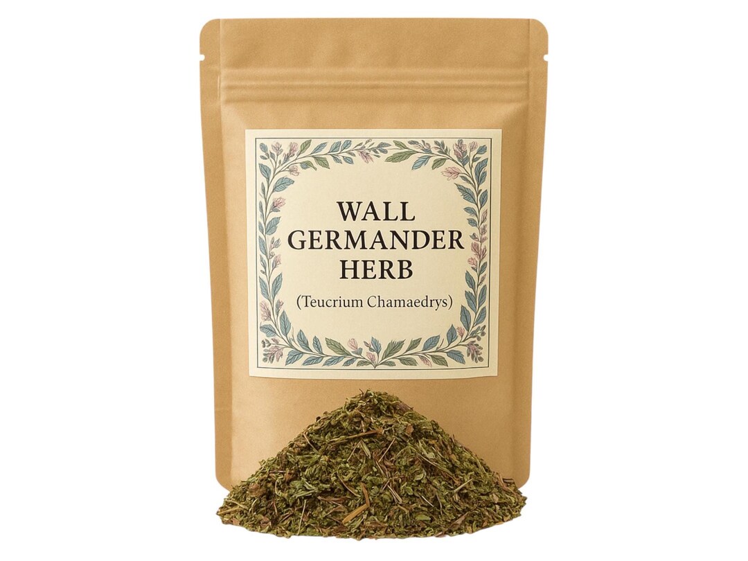 Wall Germander Herb | Teucrium Chamaedrys Premium Grade | Herbal - Etsy