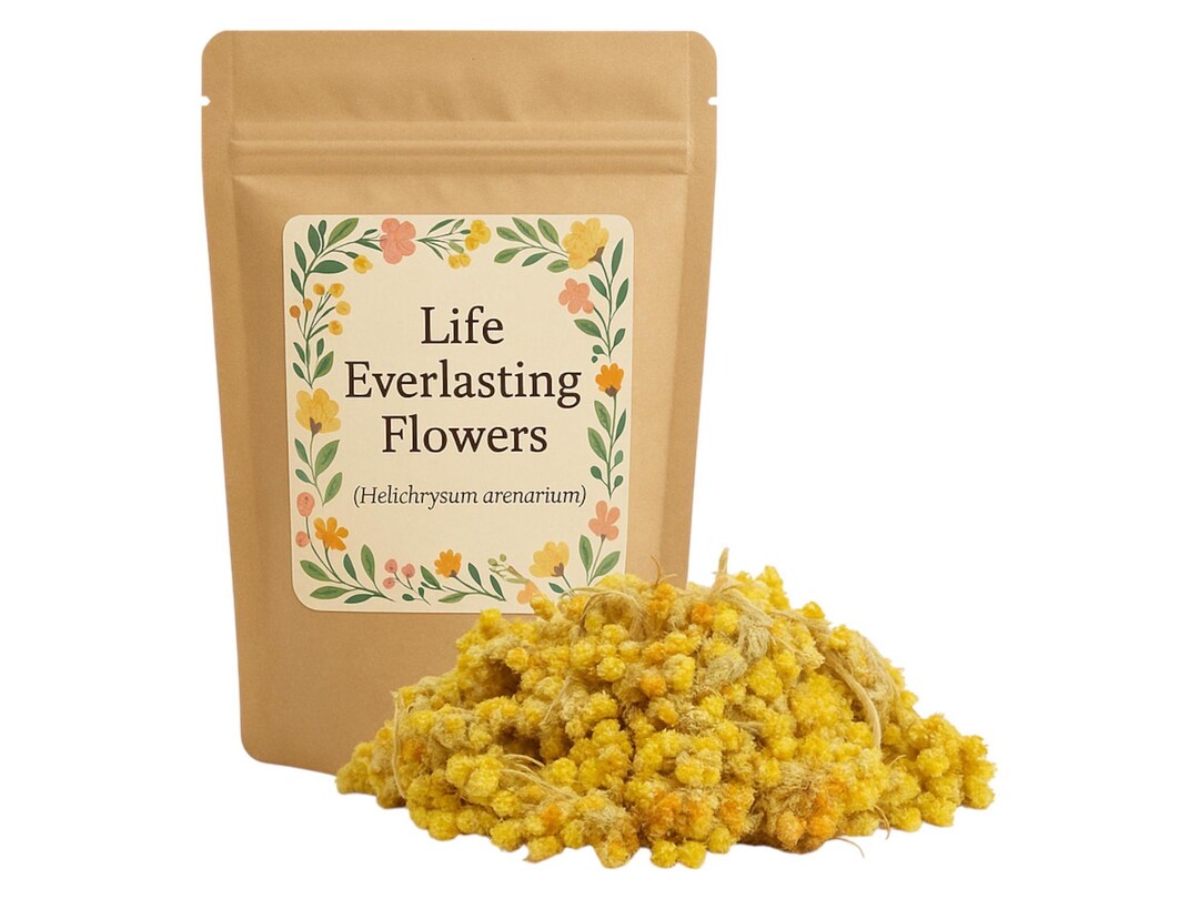 Life Everlasting Flowers/ Bulgarian EVERLASTING FLOWER/ Life ...