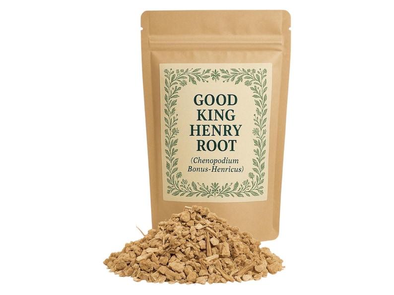 Good King Henry Root | Chenopodium Bonus Henricus Premium Grade ...
