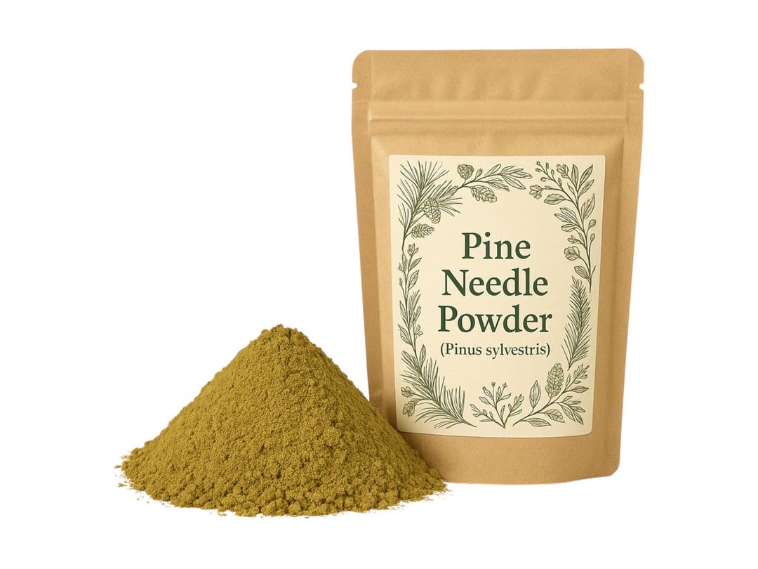 Pine Needle Powder | Fresh Pine Needles for Tea | Pine Needles Tea ...