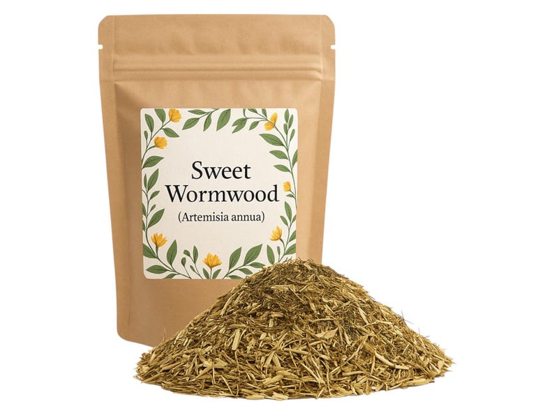Artemisia Annua Herb | Sweet Wormwood Tea | Organic | | Sweet Annie Tea ...
