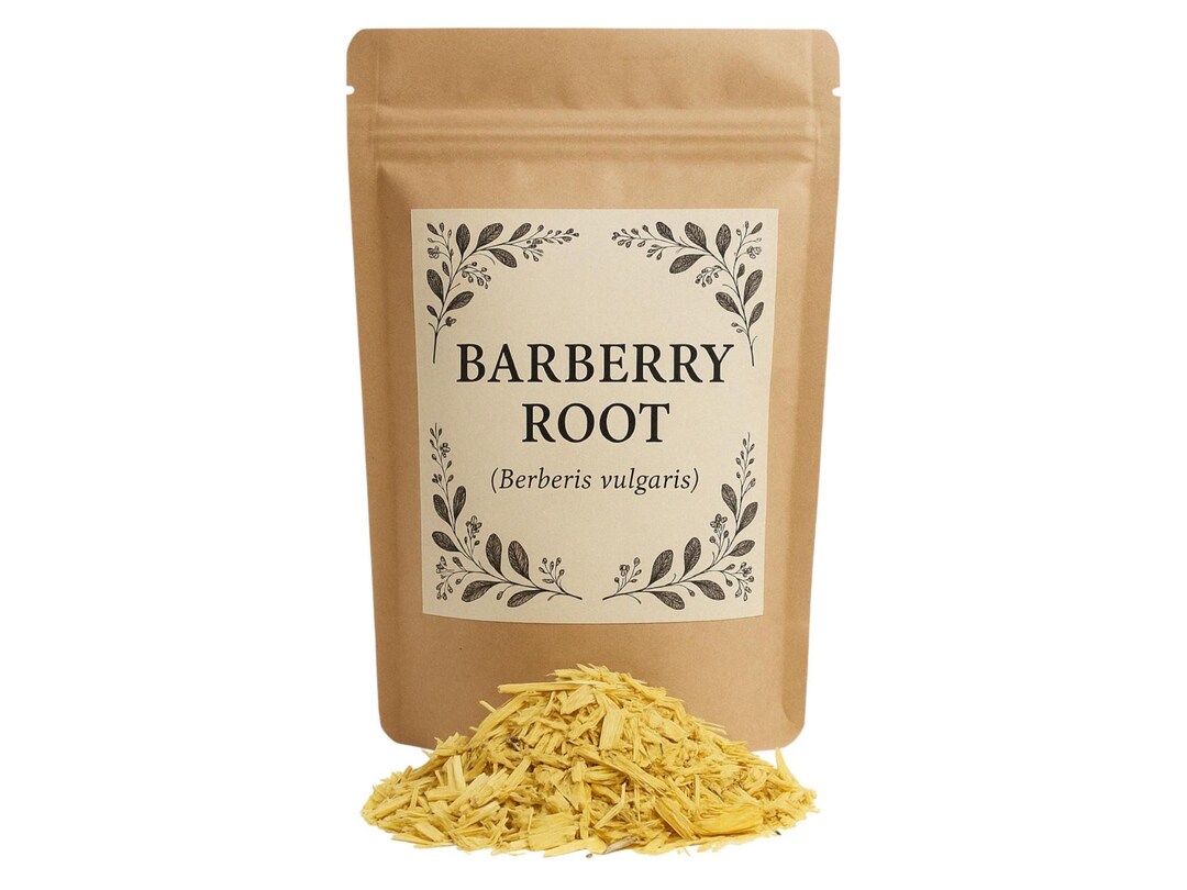 Barberry Root | Berberis Vulgaris Premium Grade | Herbal - Etsy