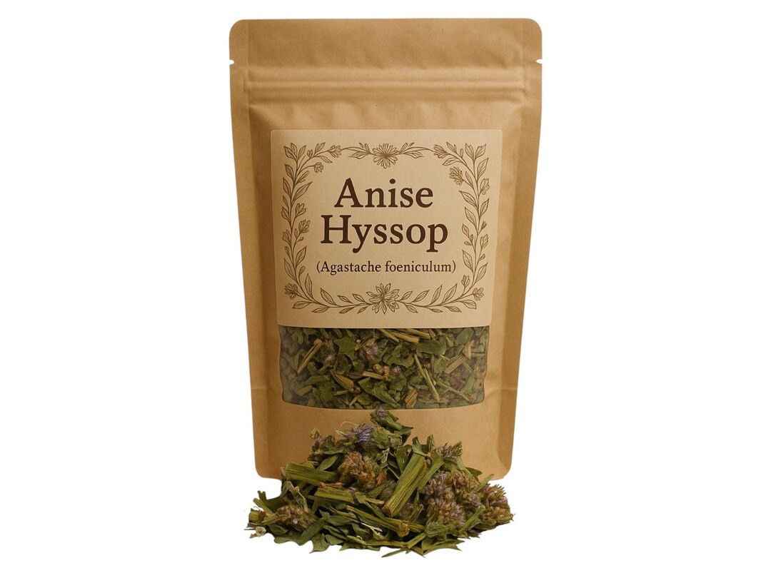 Anise Hyssop | Licorice Mint - Agastache Foeniculum Premium Grade ...