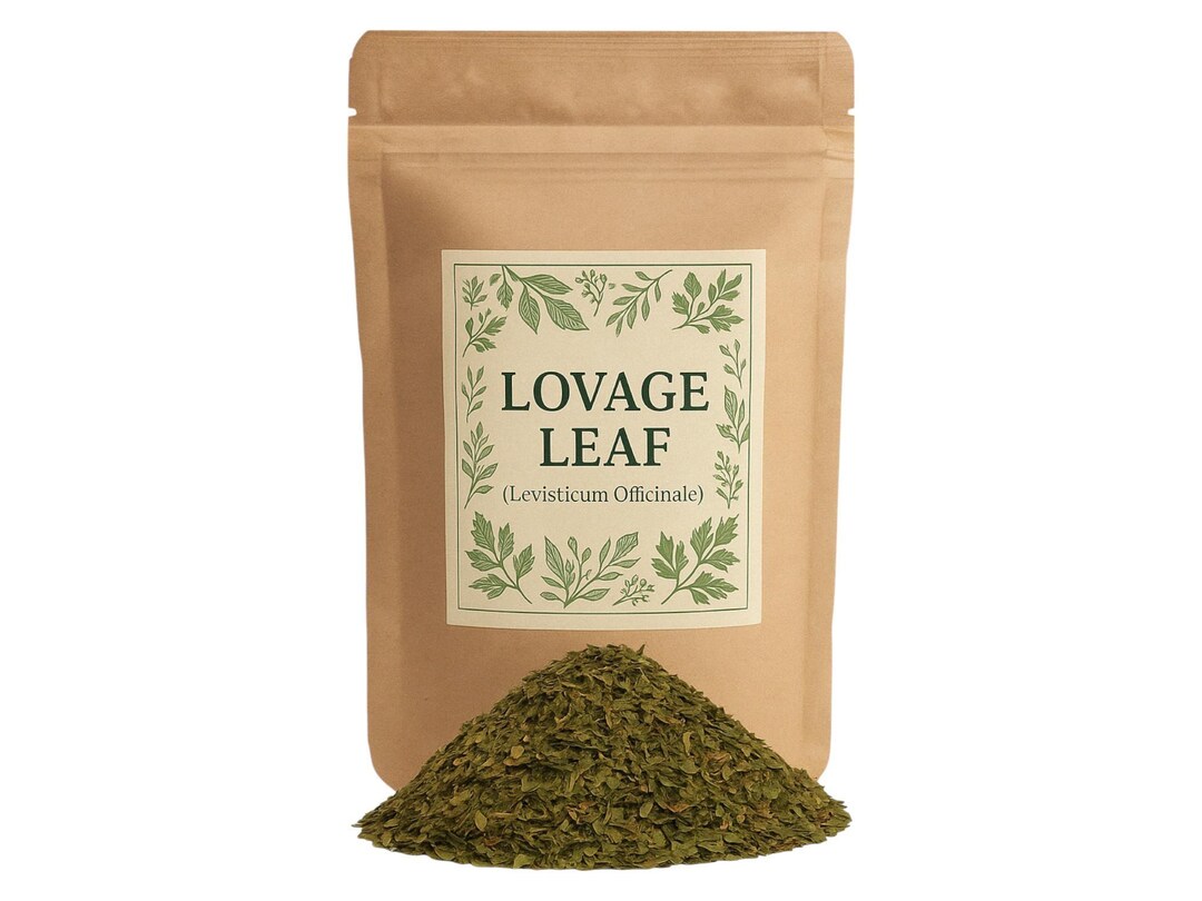 lovage-leaf-lovage-leaf-lovage-leaves-levisticum-officinale-folia