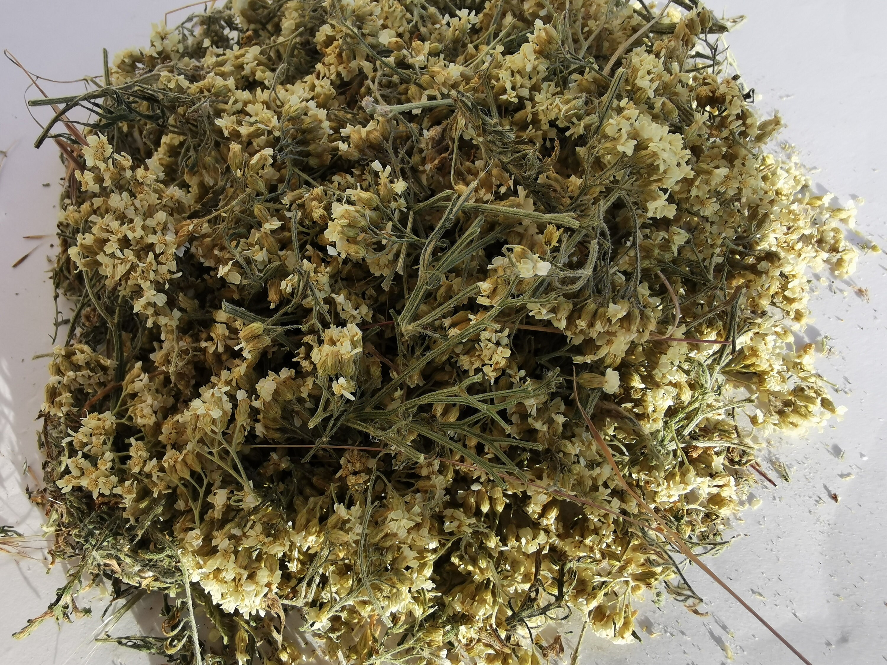 Dried Yarrow Flower Herb Tea Yarrow Organic and Natural | Etsy