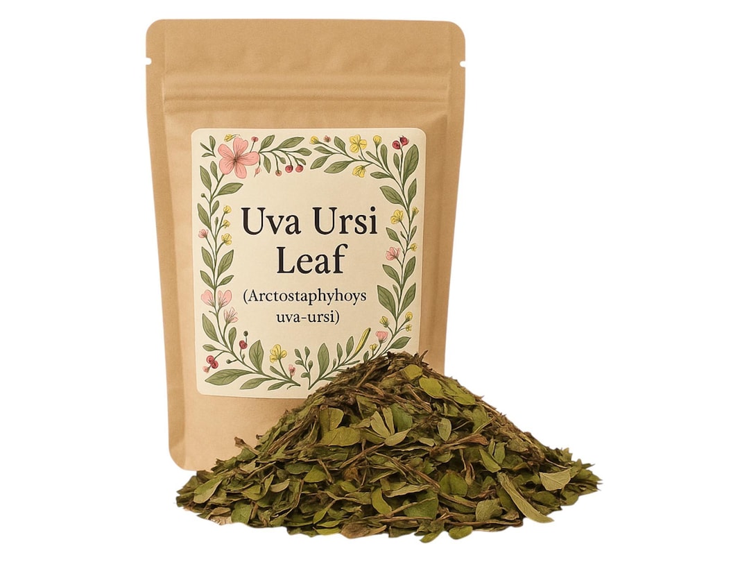 Bearberry Leaf Tea | Uva Ursi Tea | Uva Ursi Leaf | Beaberry Leaf ...