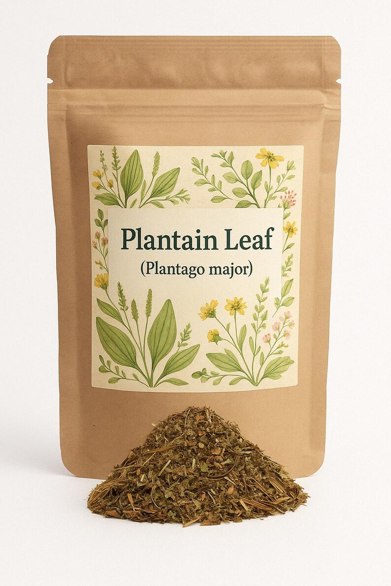 Plantain Leaf | Plantain | Plantago Major | Plantain Tea | Plantain ...