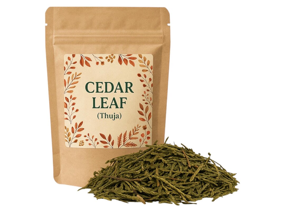 CEDAR LEAF | Thuja Leaf | | Wild Harvested Premium Grade | Herbal - Etsy