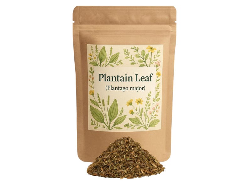 Plantain Leaf | Plantago Major | Plantain Tea | Premium Grade | Herbal ...
