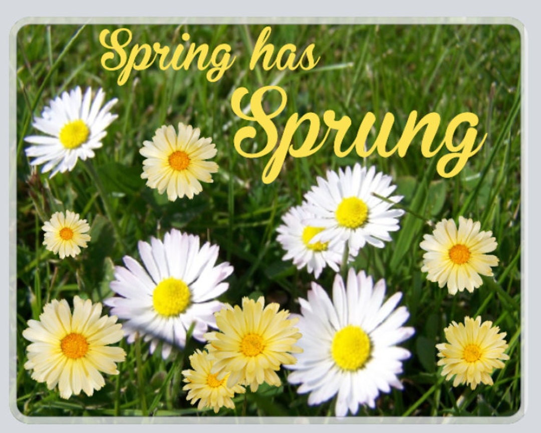Spring Has Sprung Metal Wreath Sign - Etsy