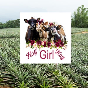Hay Girl Hay Aluminum Cow Wreath Sign - Etsy