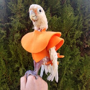 Parrot Extra Coverage Clothing, Specifically for Birds That Pluck and ...