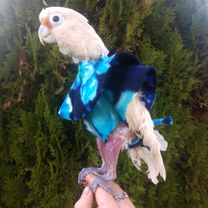 Parrot Extra Coverage Clothing, Specifically for Birds That Pluck and ...