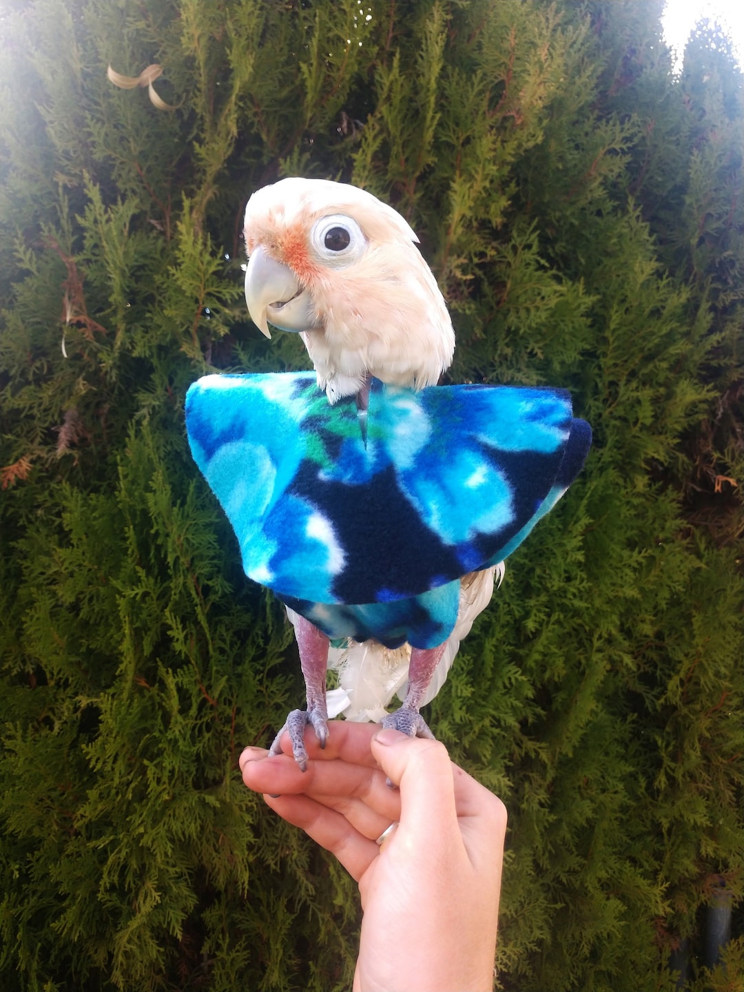 Parrot Extra Coverage Clothing, Specifically for Birds That Pluck and ...