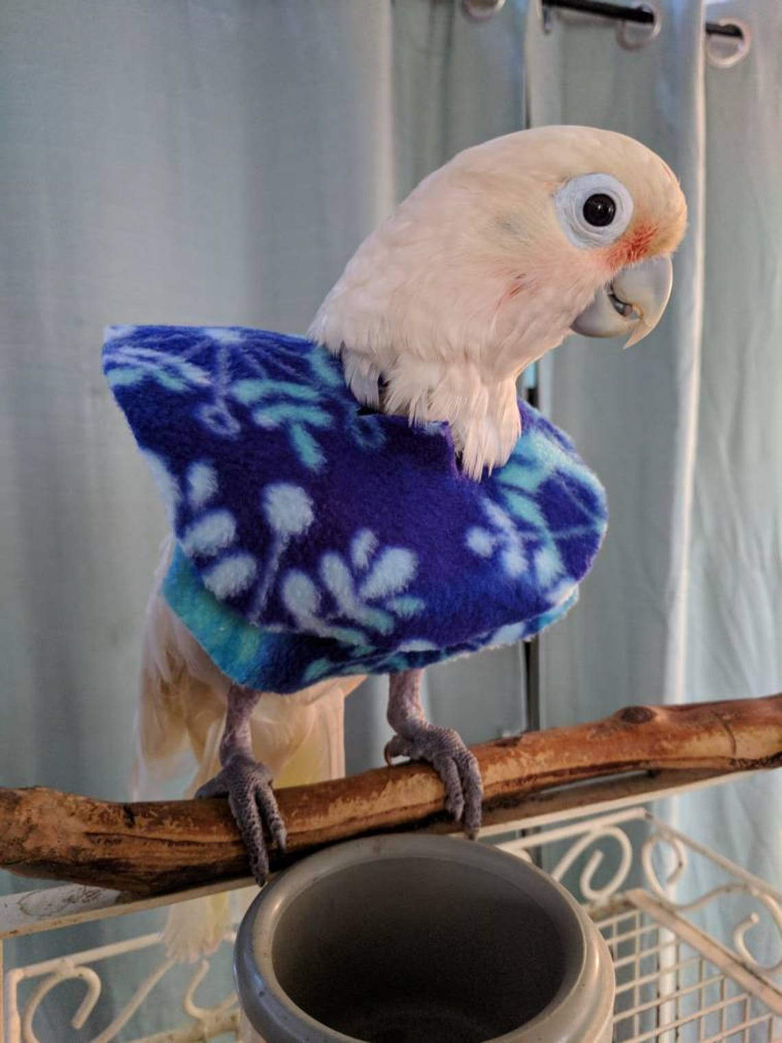 Parrot Clothes for Birds That Pluck - Etsy