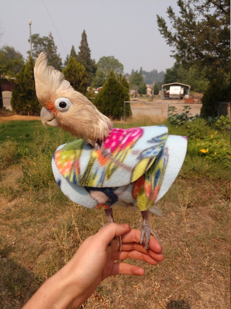 Parrot Clothes for Birds That Pluck - Etsy