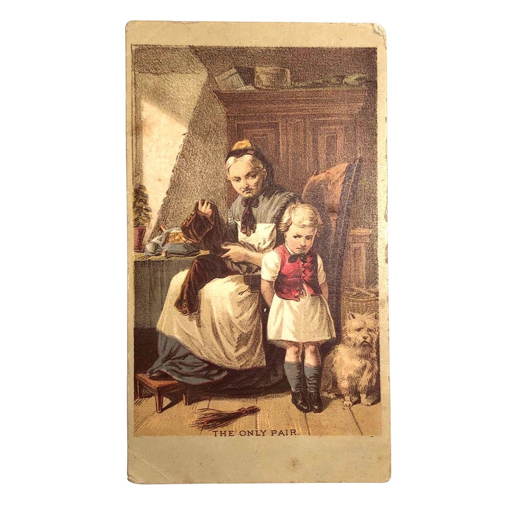 Dr. Hedges' Pulmonic Life Balsam, Trade Card, the Only Pair ...