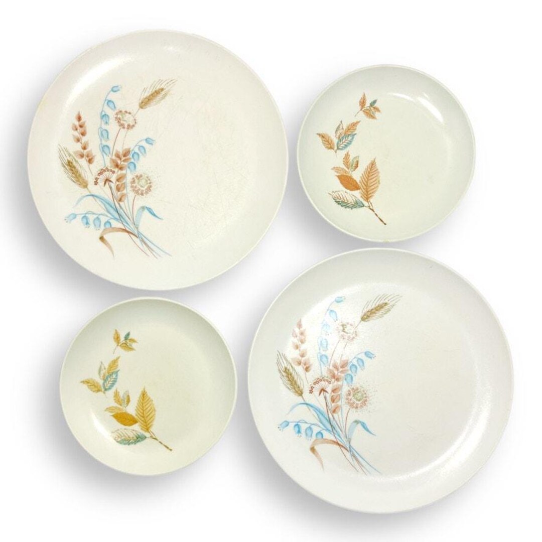 Melamine Dishes Dinner Snack Plates Blue Brown Autumn Wheat Melmac ...