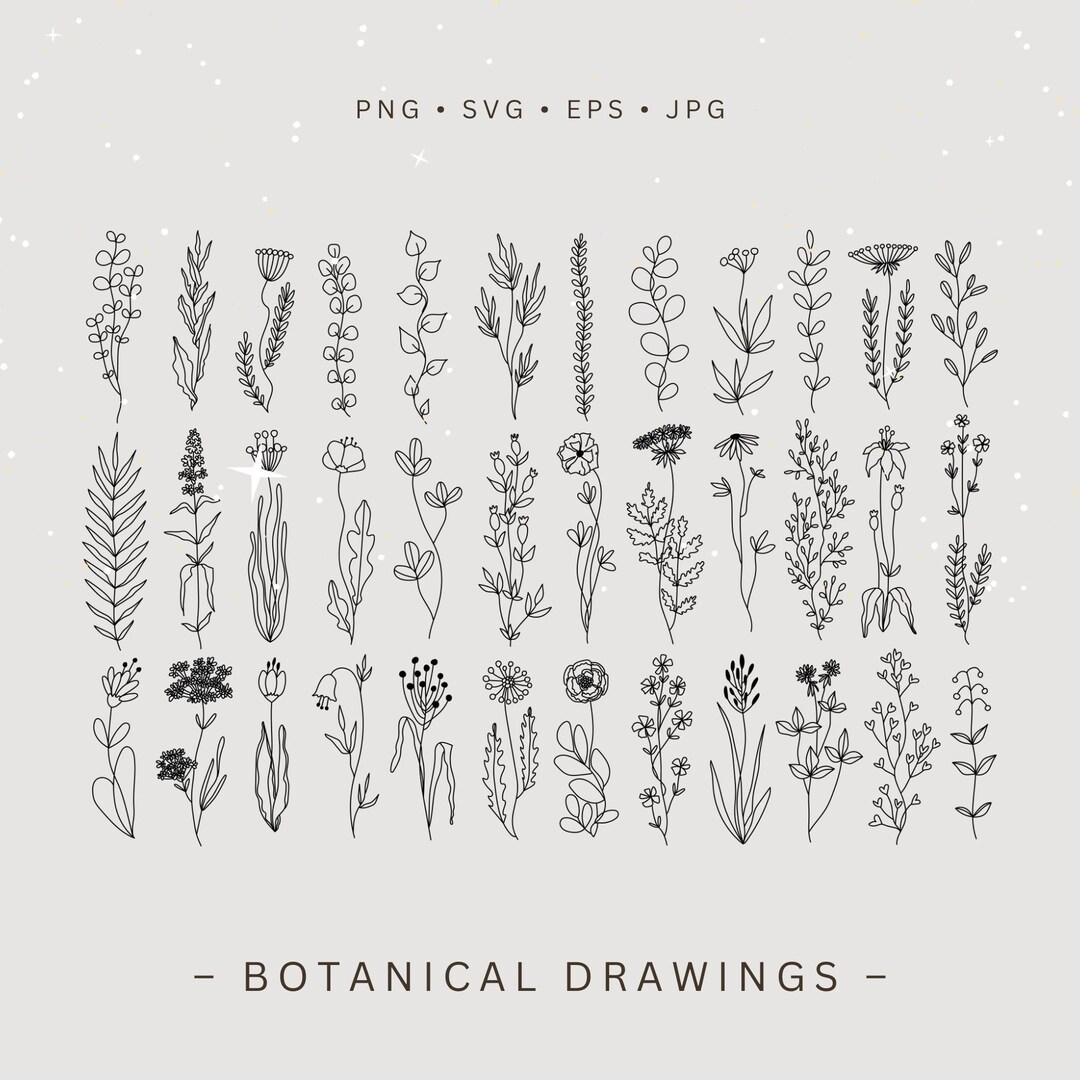 Botanical SVG Bundle Boho Wedding Svg Invitation Spring Wild Flower ...