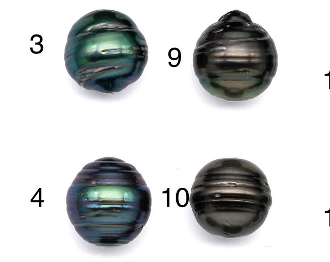 Individual Tahitian Pearl Circle Teardrops With Nice Luster and ...