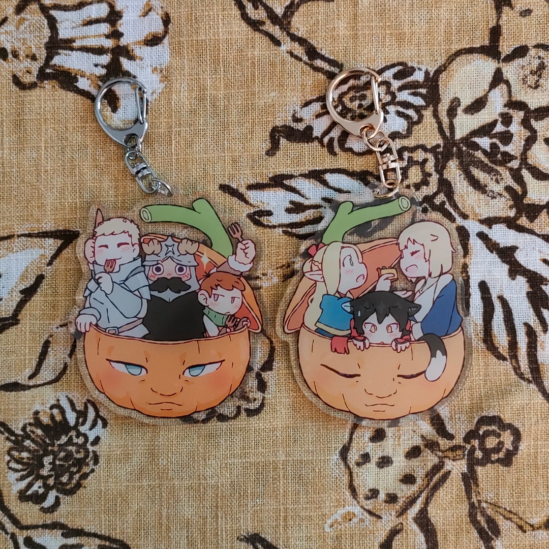 Dungeon Meshi Acrylic Keychains - Etsy