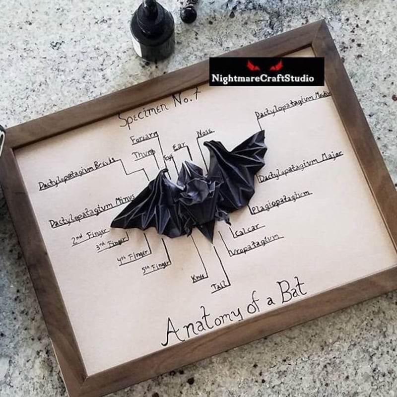 Taxidermy Bat - Etsy