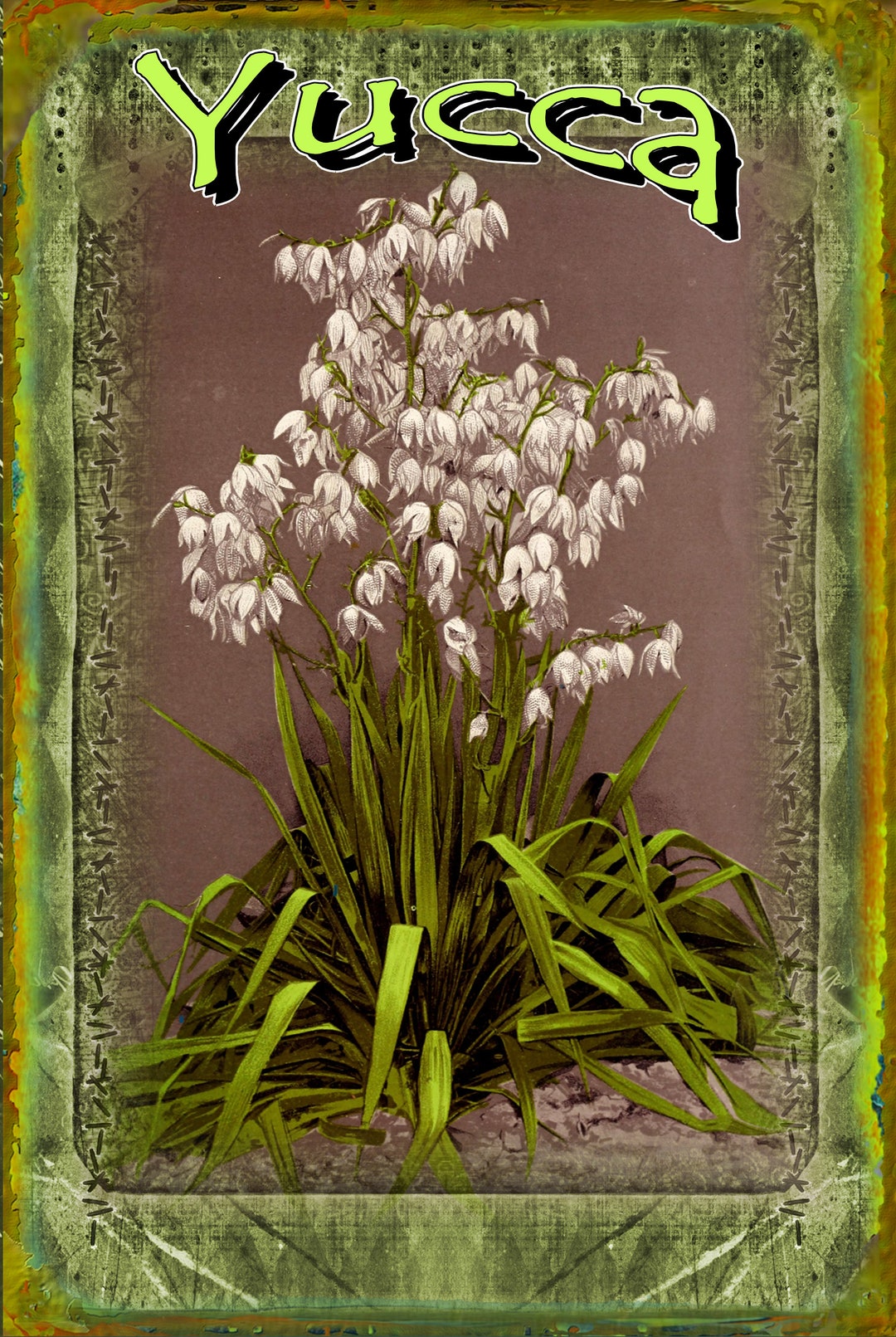 Yucca Reproduction Vintage Seed Packet Metal Sign 12x18 DH137 - Etsy