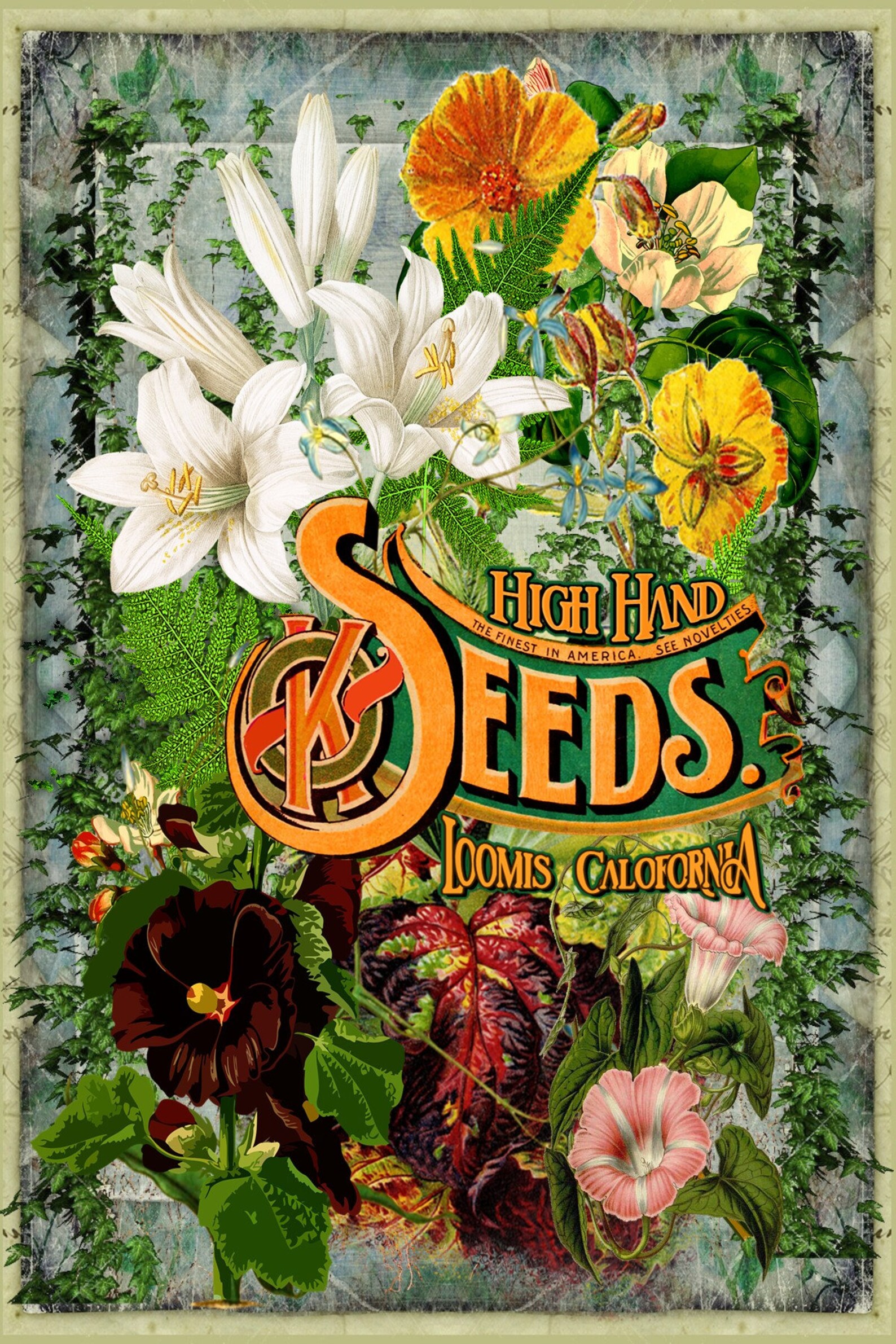 Nursery Seeds Vintage Seed Packet Metal Sign 12x18 DH123 - Etsy