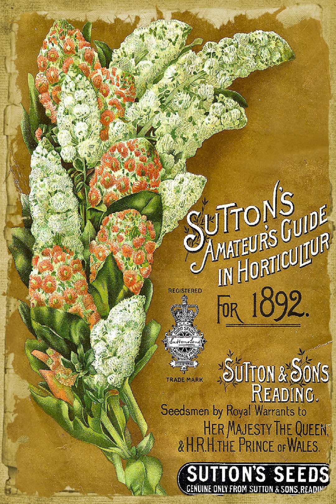 Sutton Floral Vintage Seed Packet Metal Sign 12x18 DH110 - Etsy
