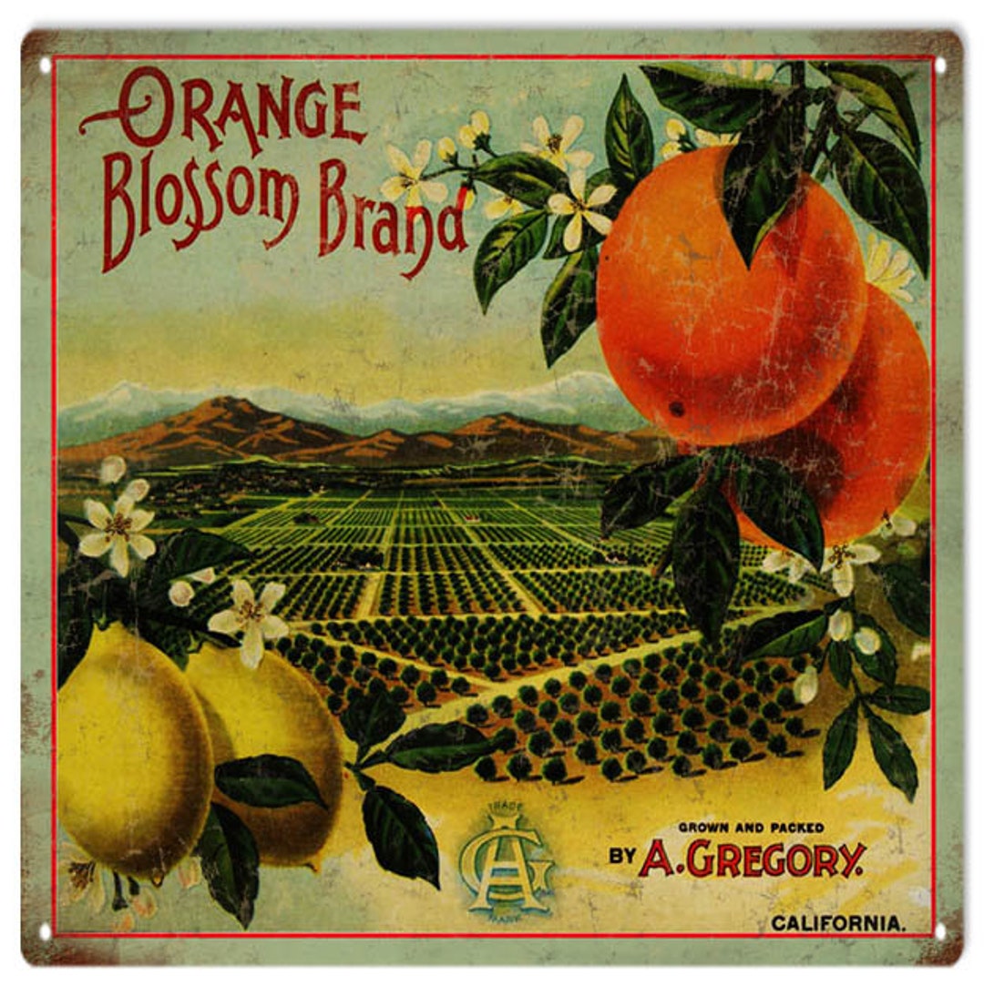 Orange Blossom Brand Oranges Vintage Reproduction Metal Sign 12x12 ...