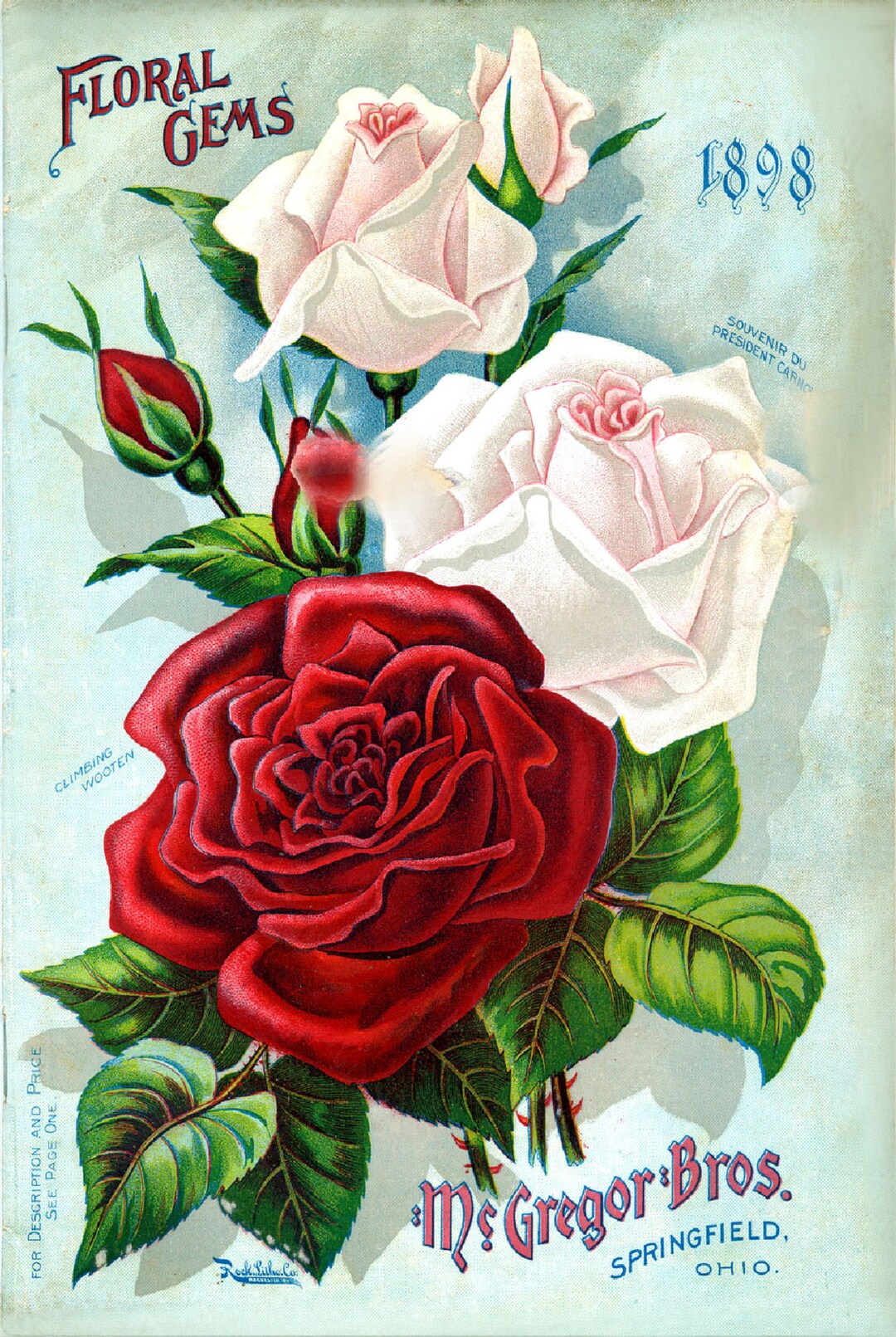 Reproduction Vintage Seed Packet Metal Sign 12x18 DH300 - Etsy