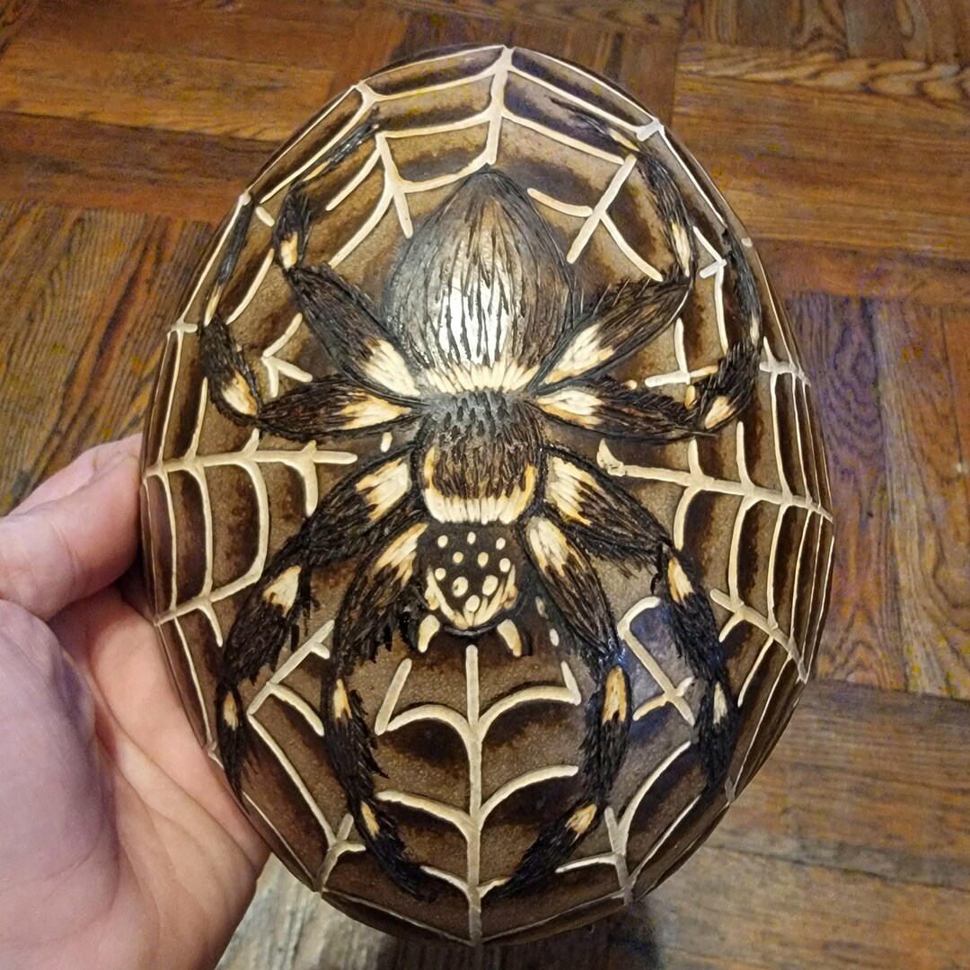 Spider Gourd Art. Etching and Pyrography. Free Shipping and Wall Hanger ...
