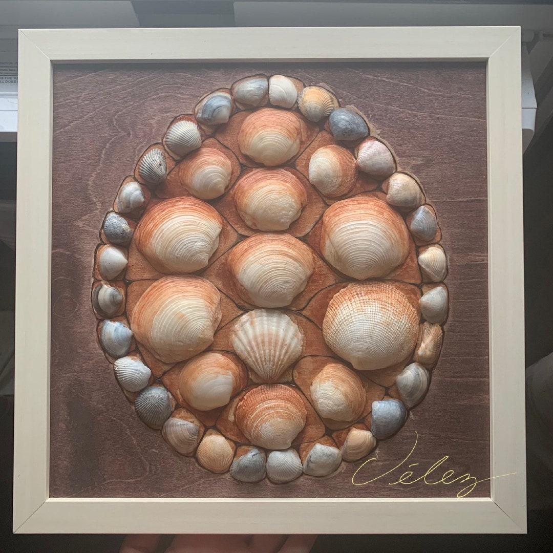 Turtle Shell Mixed-media Art, Professionally Framed, Free Priority ...