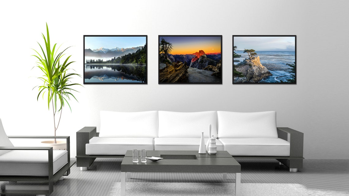 Monterey Cypress Tree Landscape Photo Canvas Print Pictures Frames Home ...