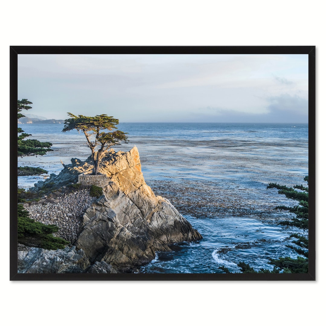 Monterey Cypress Tree Landscape Photo Canvas Print Pictures Frames Home ...