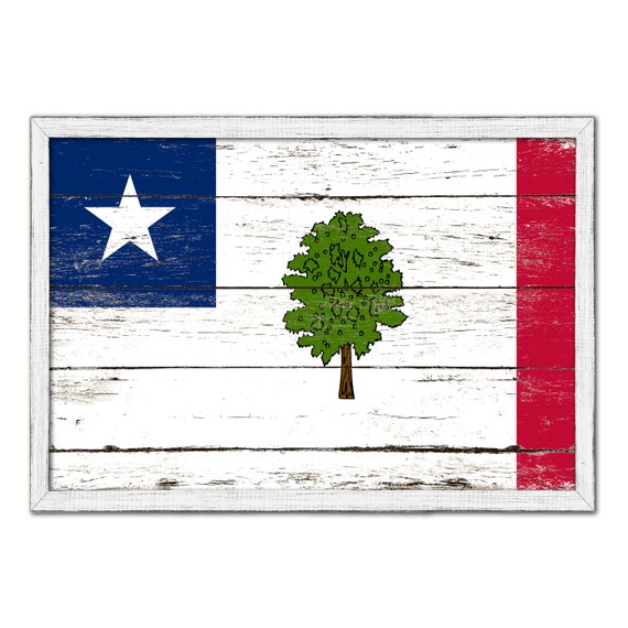 Magnolia City Mississippi State Flag Canvas Print Home Decor | Etsy