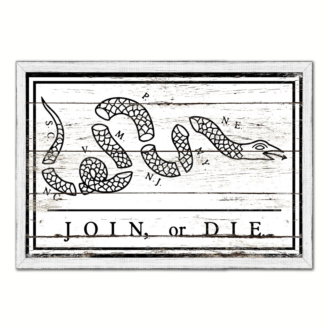 US Join or Die Snake Colonial Revolutionary War White Military Flag ...