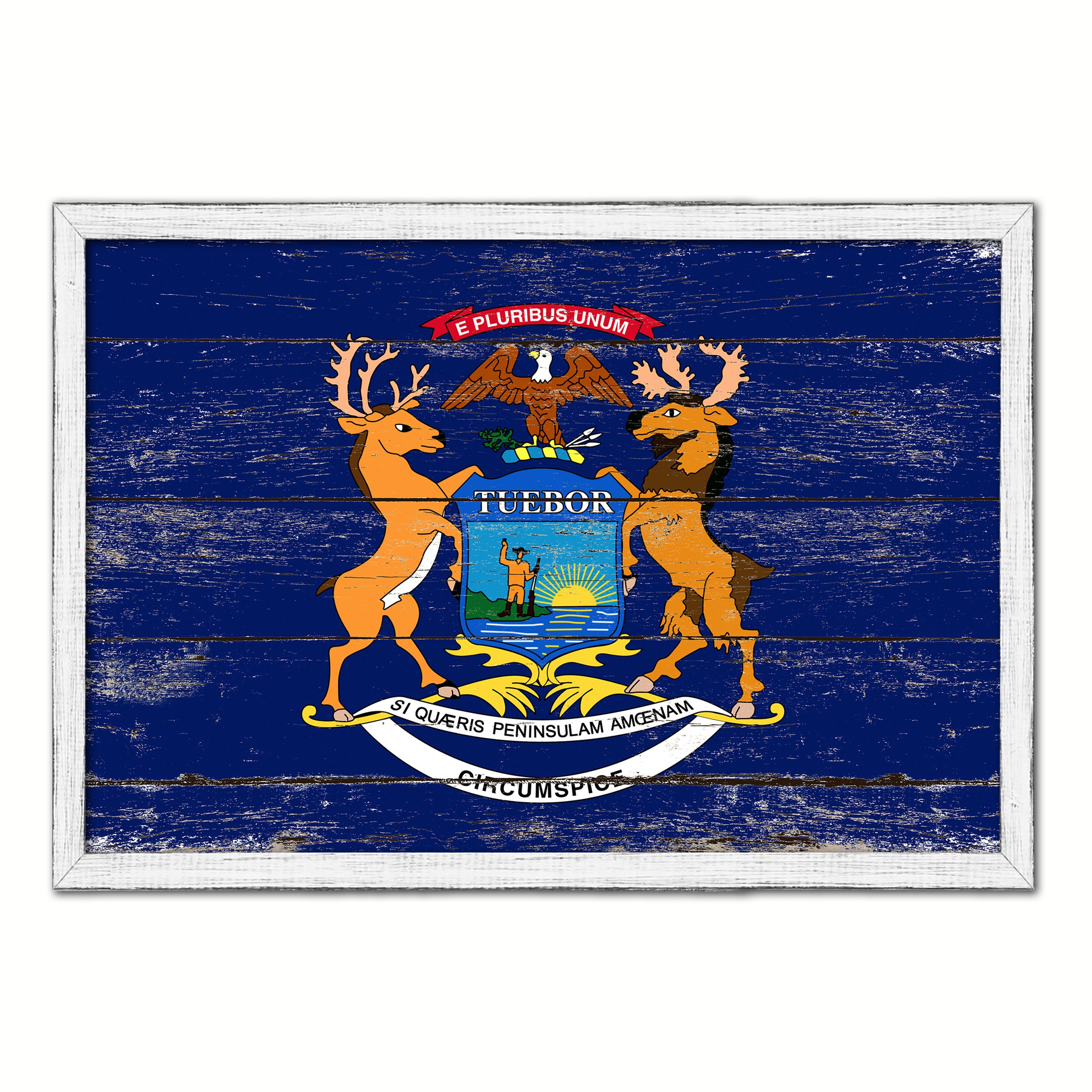 Michigan State Vintage Flag Canvas Print with Custom Picture | Etsy