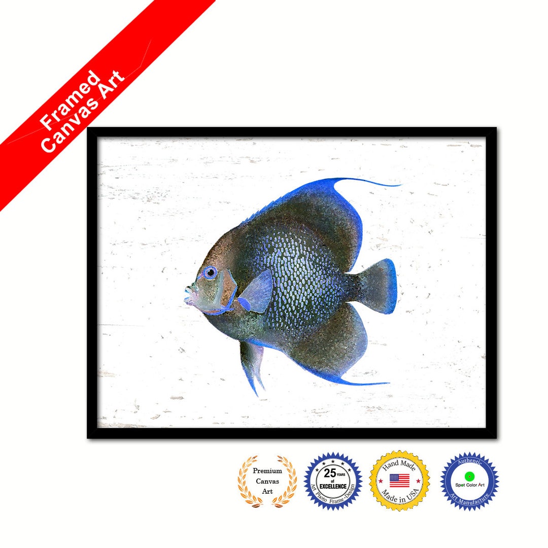 Blue Angel Tropical Fish Aqua Marine Life Home Decor Wall Art ...