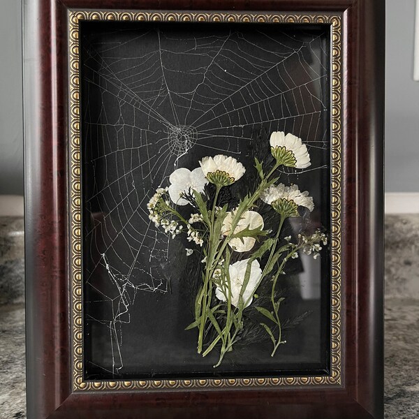 Framed Spider Web - Etsy