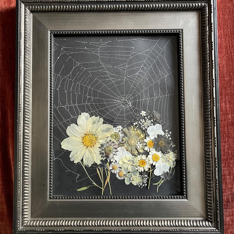 Framed Spider Web - Etsy