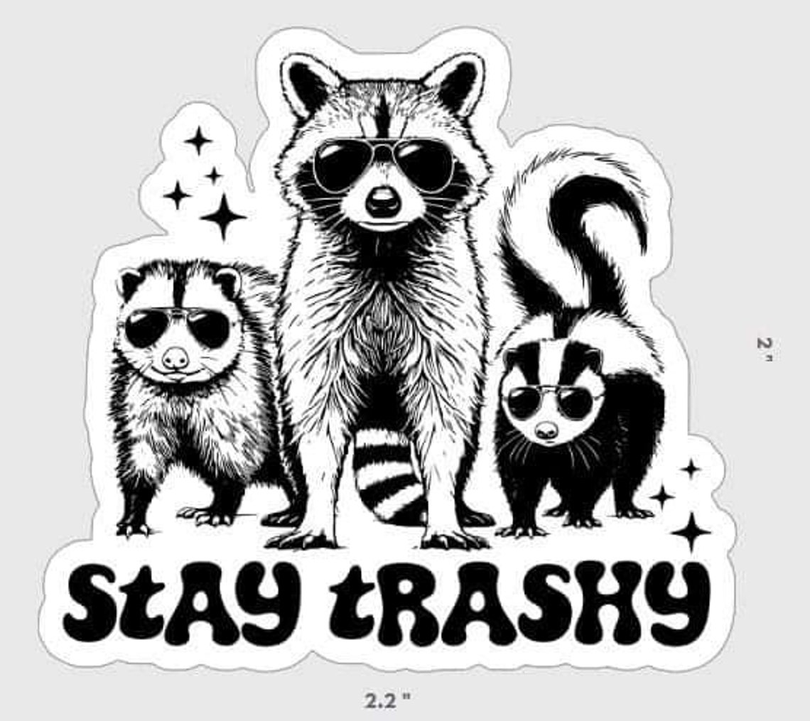 Stay Trashy - Funny Wildlife Sticker / Decal - Etsy