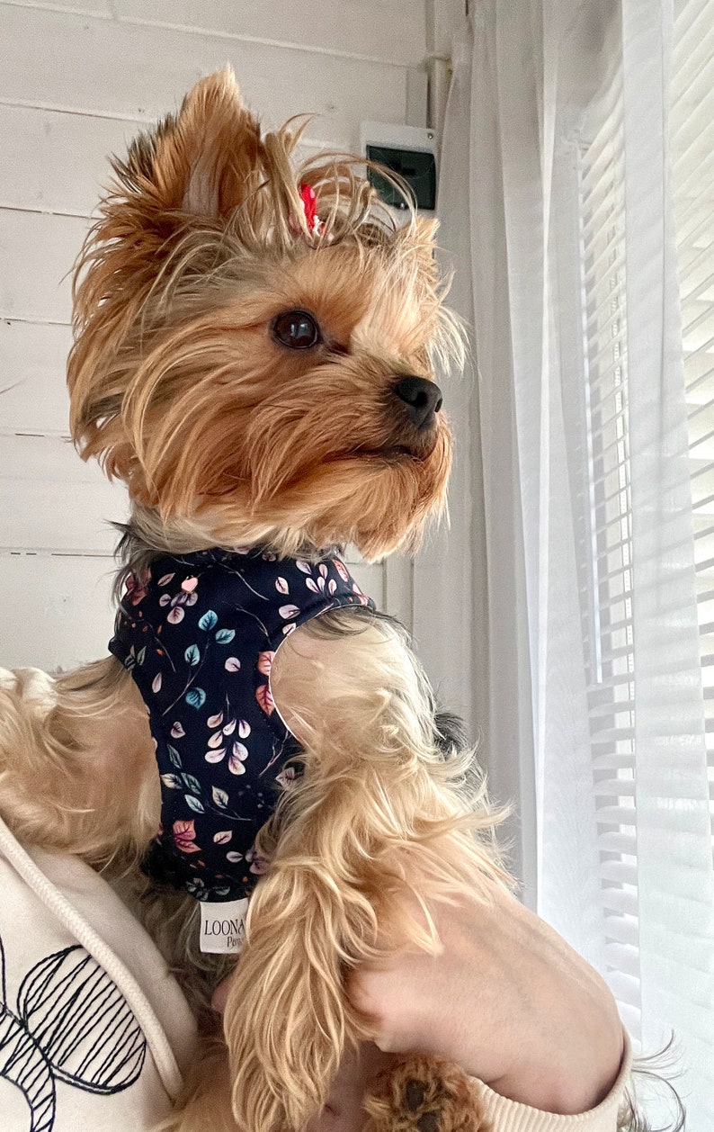 Adjustable Dog Harness Made From Cotton Fabric, Small Dog Harness, Cat ...