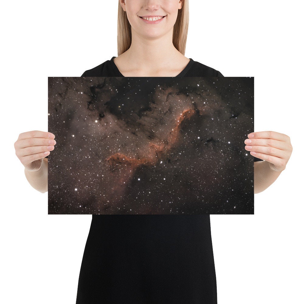 Cygnus Wall Poster - Etsy
