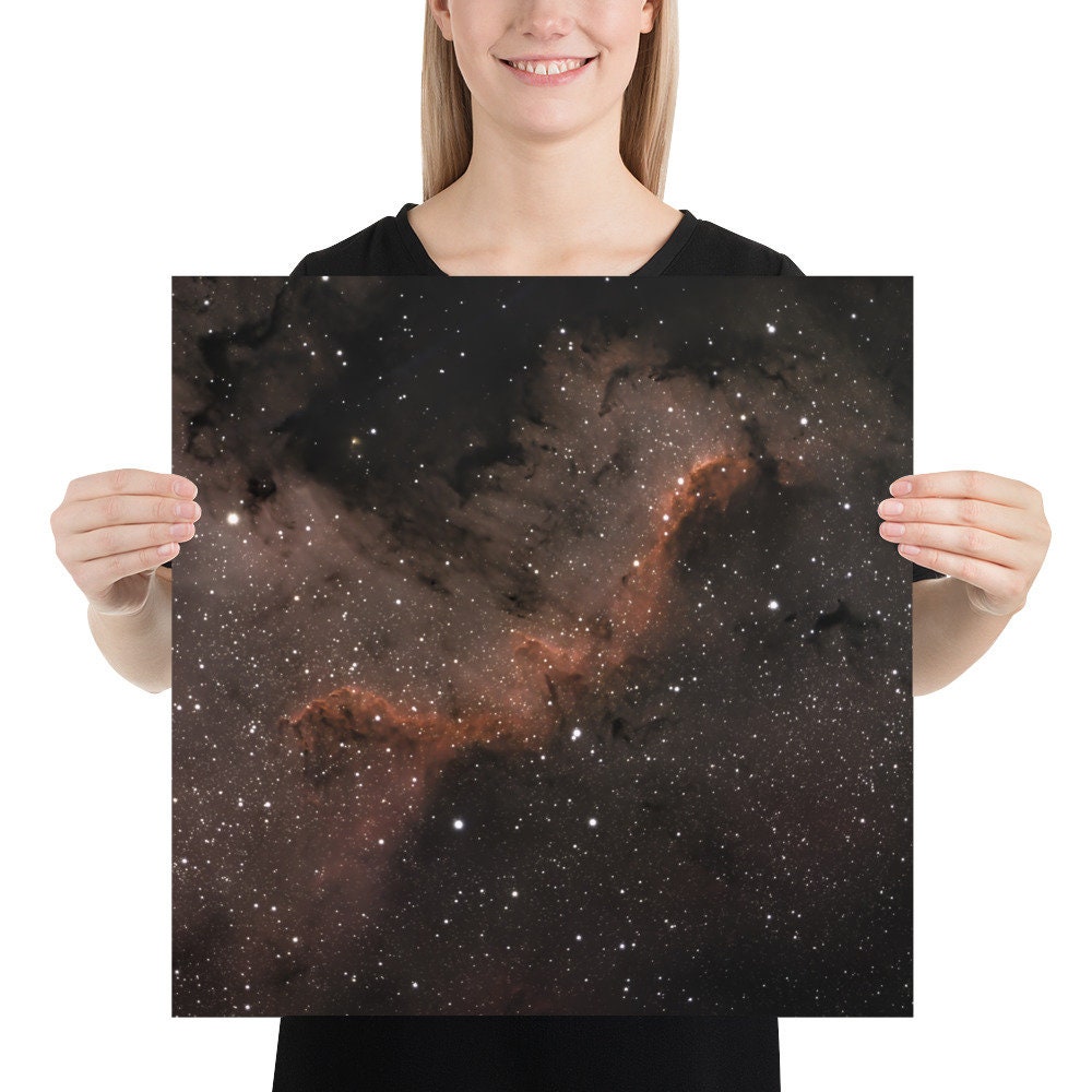 Cygnus Wall Poster - Etsy
